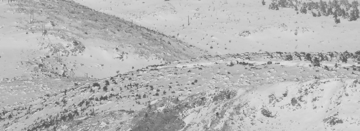 Exploring white #7 – anmar